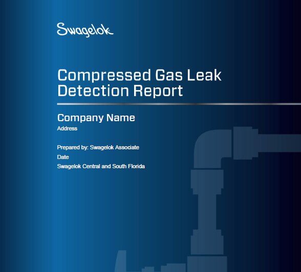 Compressed Gas Leak Detection | Swagelok